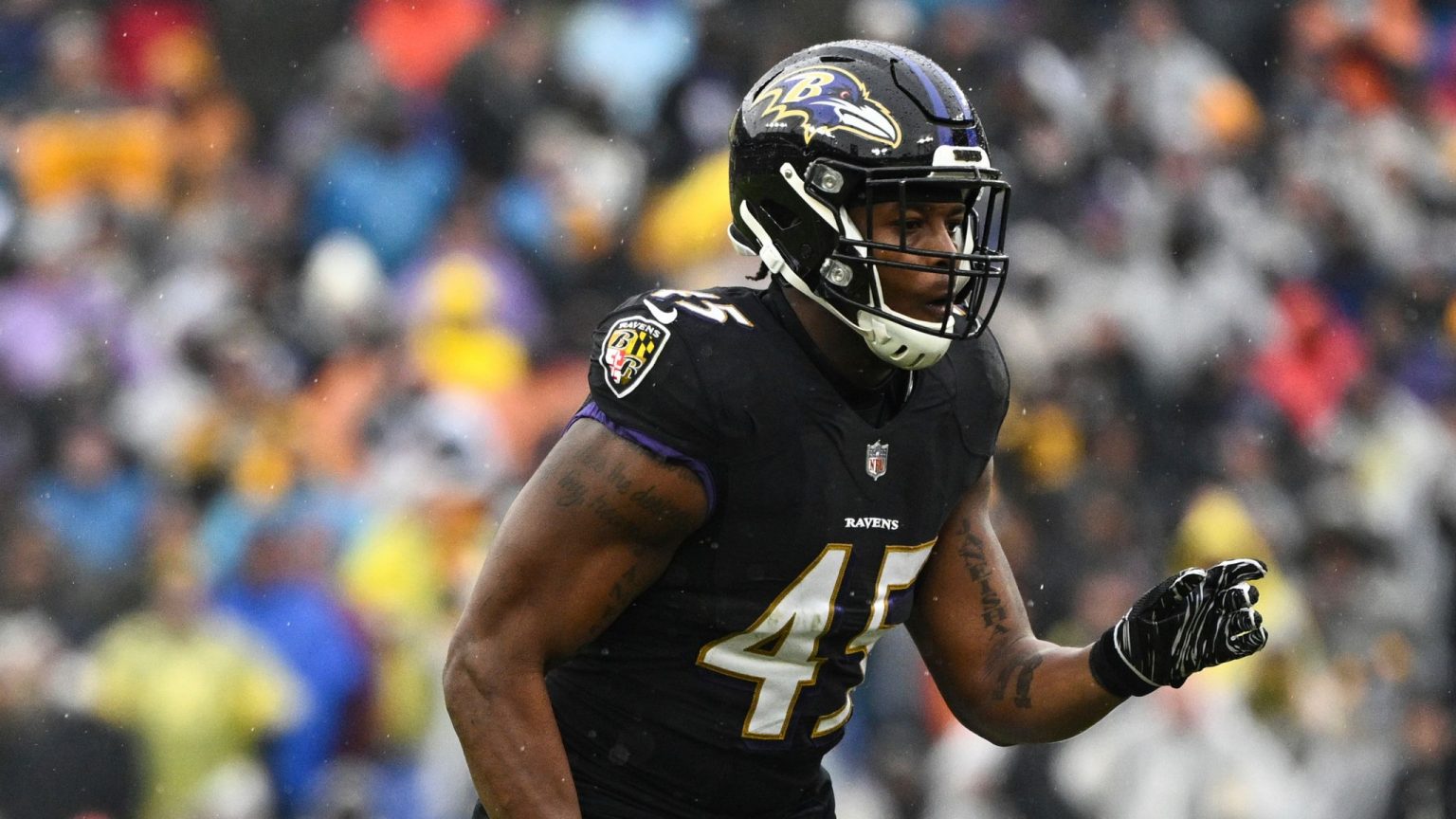 Baltimore Ravens LB Jaylon Ferguson tragically dies at the age of 26 ...