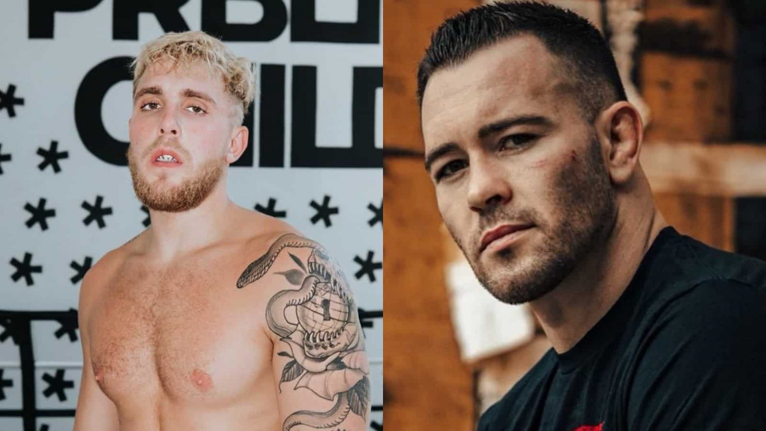 Colby Covington Takes Aim at Jake and Logan Paul – yebscore.com