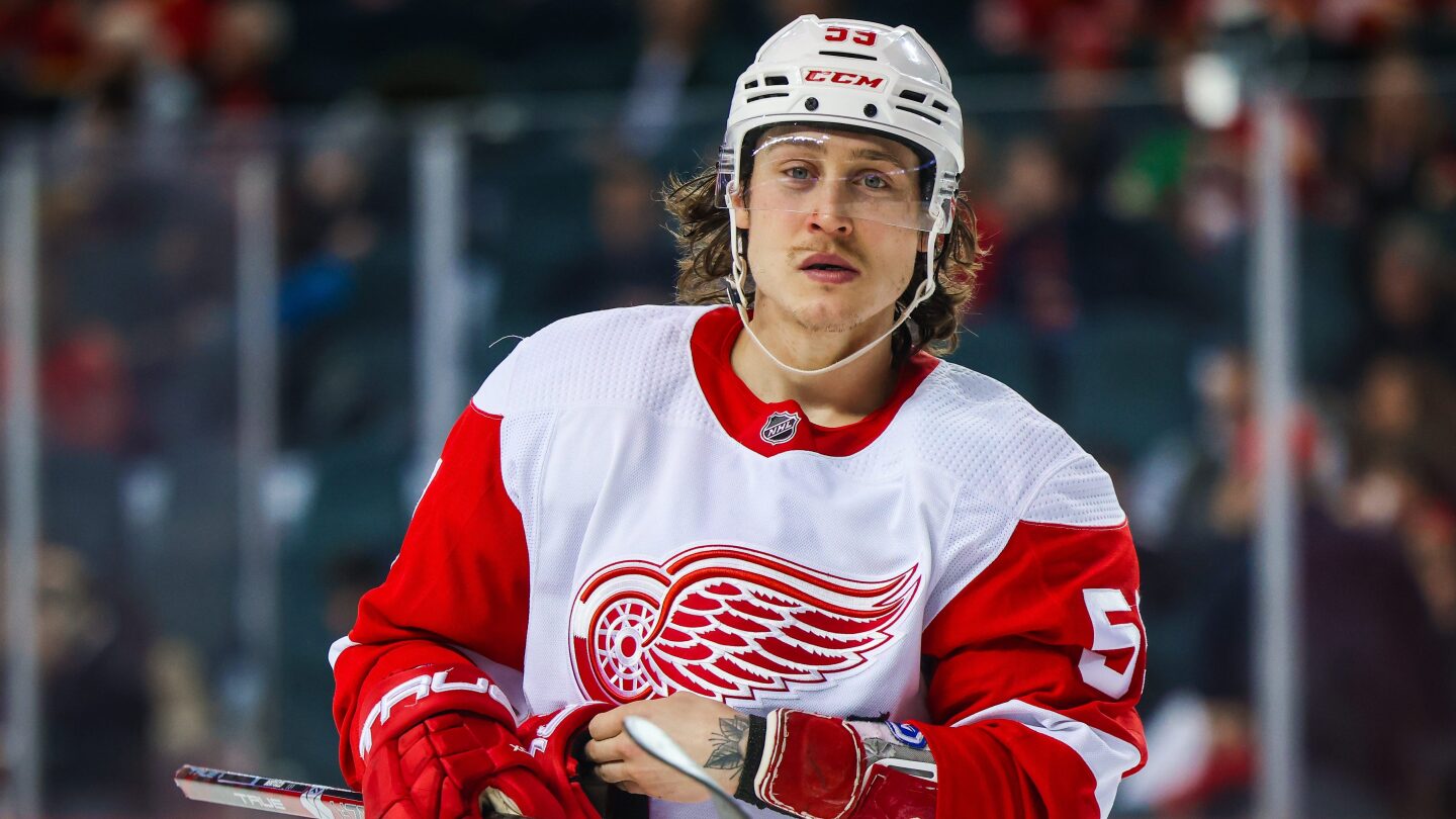 Who Is Tyler Bertuzzi’s Wife? His Relationship, Parents, Family, Salary and Net Worth – yebscore.com