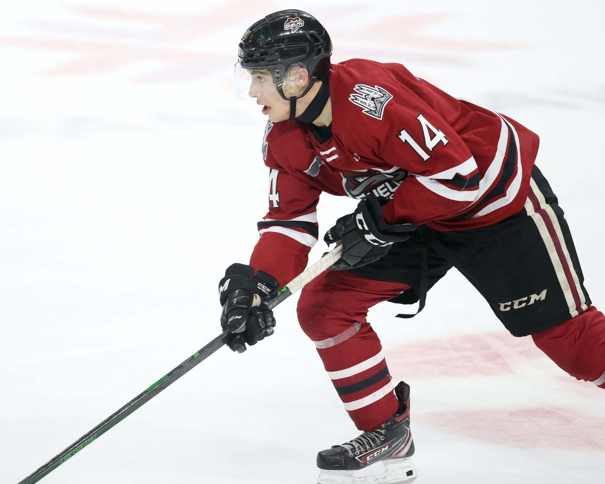 Who Is Matthew Poitras’s Girlfriend? His Relationship, Parents, Family ...